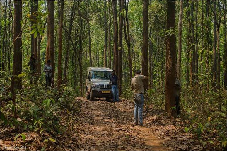 PACKAGE TOUR GROUP PACKAGE SARANDA FOREST ODISHA JHARKHAND